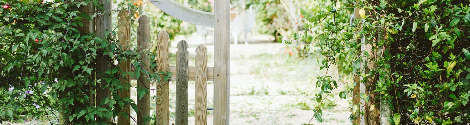 Growing Vines Can Make Your Garden Beautiful - Clarksville Fencing