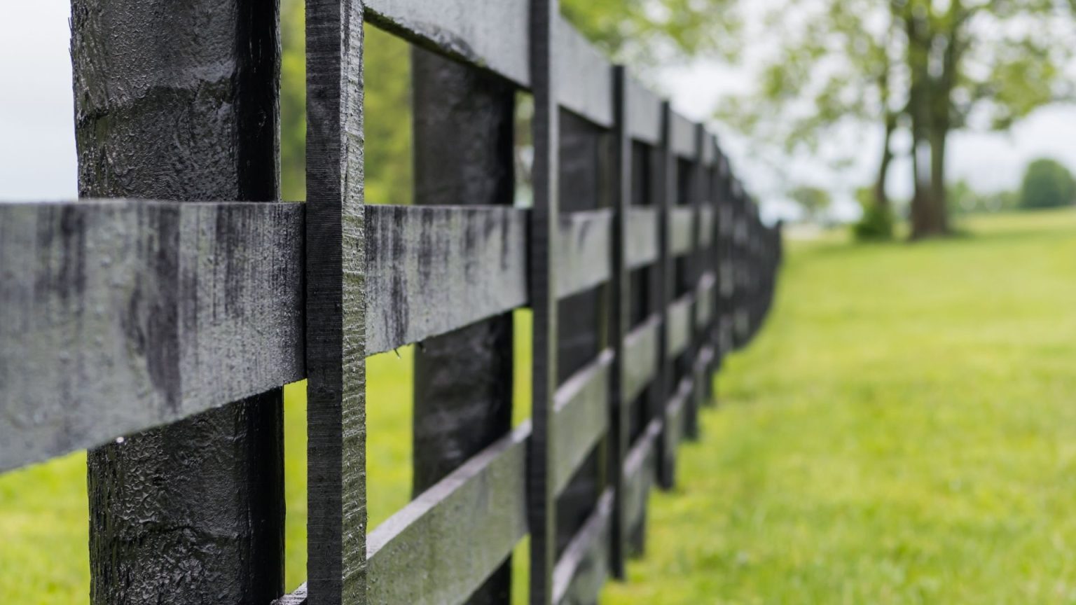 The Pros and Cons of a Black Fence - Clarksville Fencing