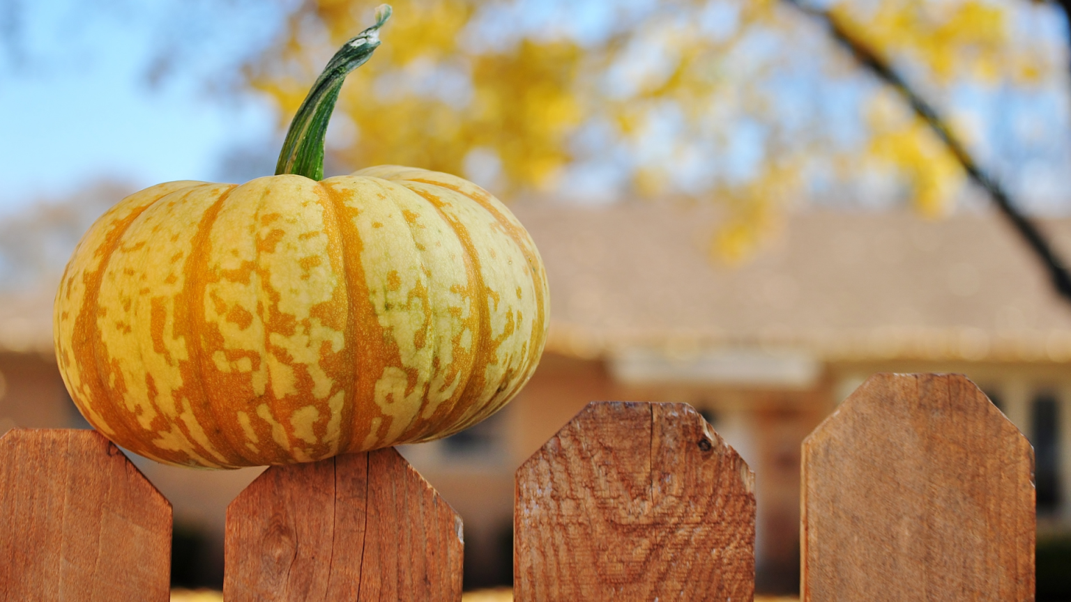 Decorating Your Fence for Fall - Clarksville Fencing
