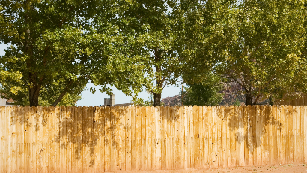 What To Do About Trees in the Fence Line - Clarksville Fencing