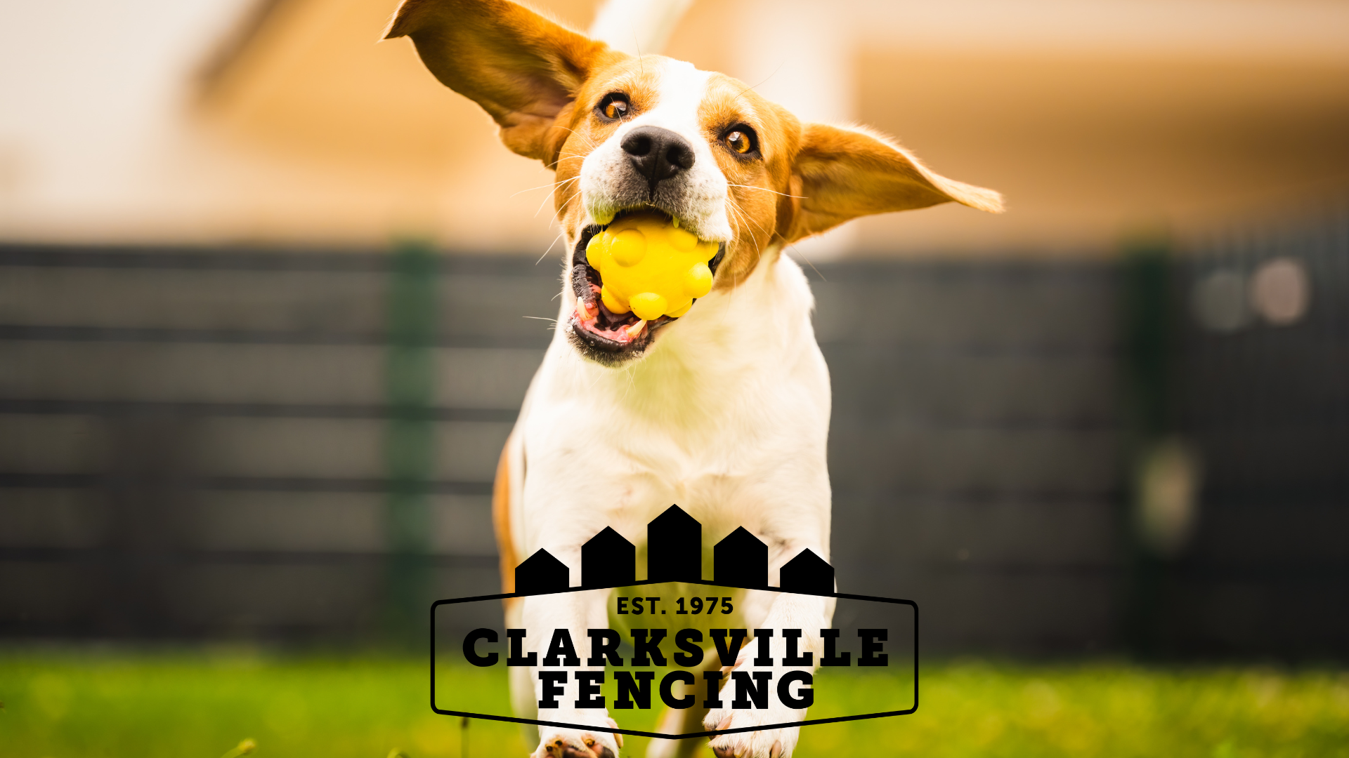 Fencing Solutions for Pet Owners: Keeping Your Furry Friends Safe ...